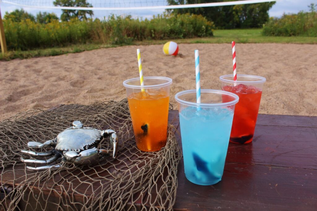 How to throw a Beach themed Party even if you don’t have a beach ...
